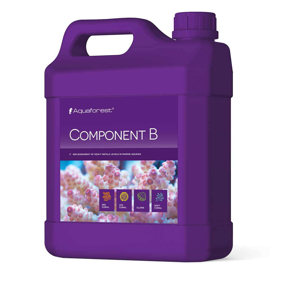 Component B 2l – Reef Store sa
