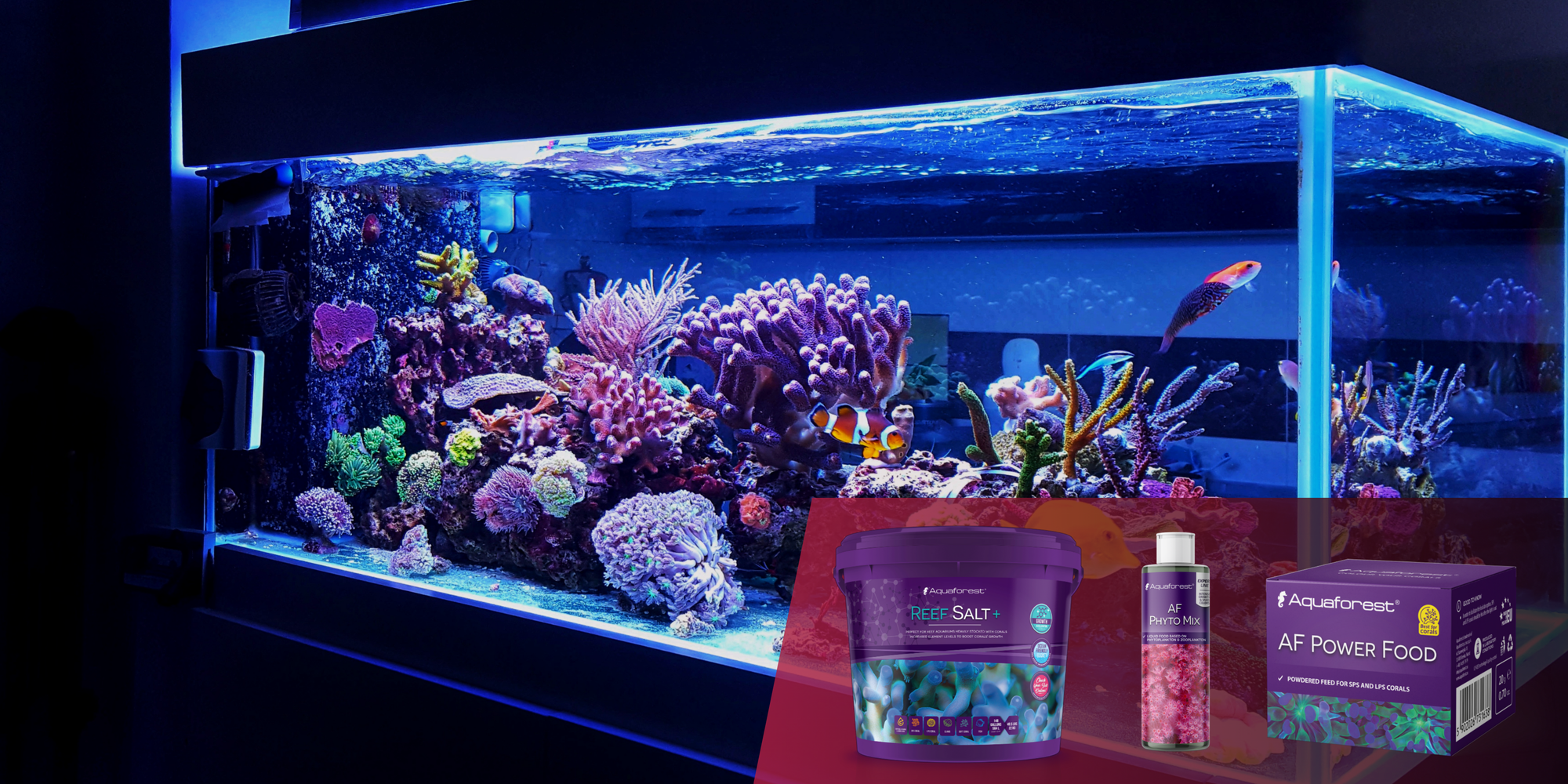 Aquarium Tanks & Supplies | Reef Store South Africa – Reef Store sa