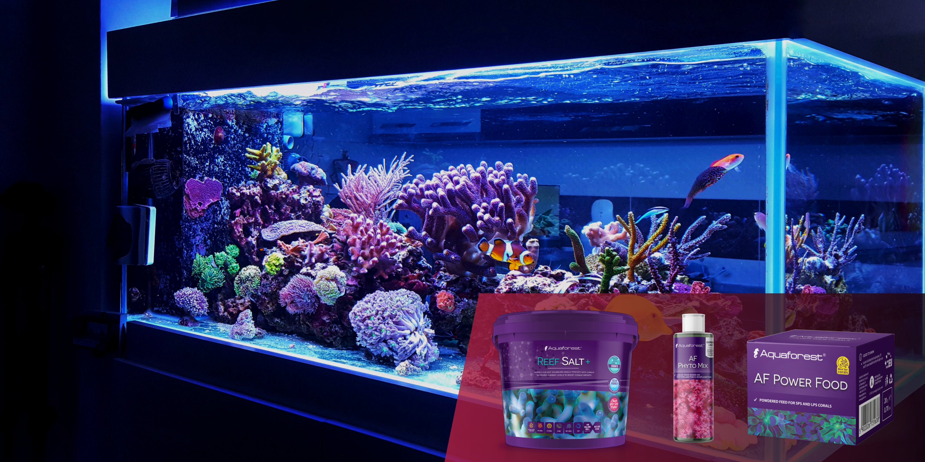 Aquarium Tanks & Supplies | Reef Store South Africa – Reef Store sa